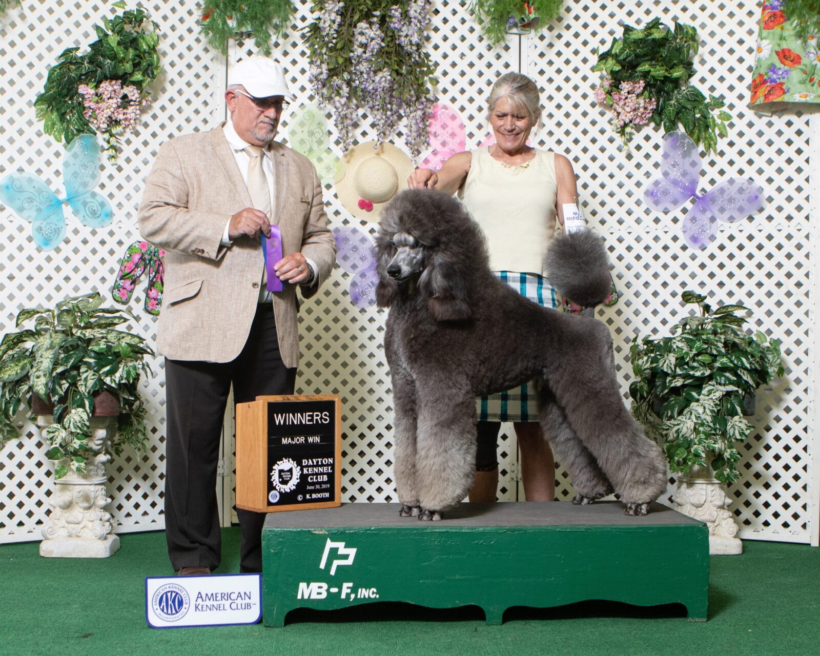 Standard Poodle Breeders Near Me | Breeder Directory