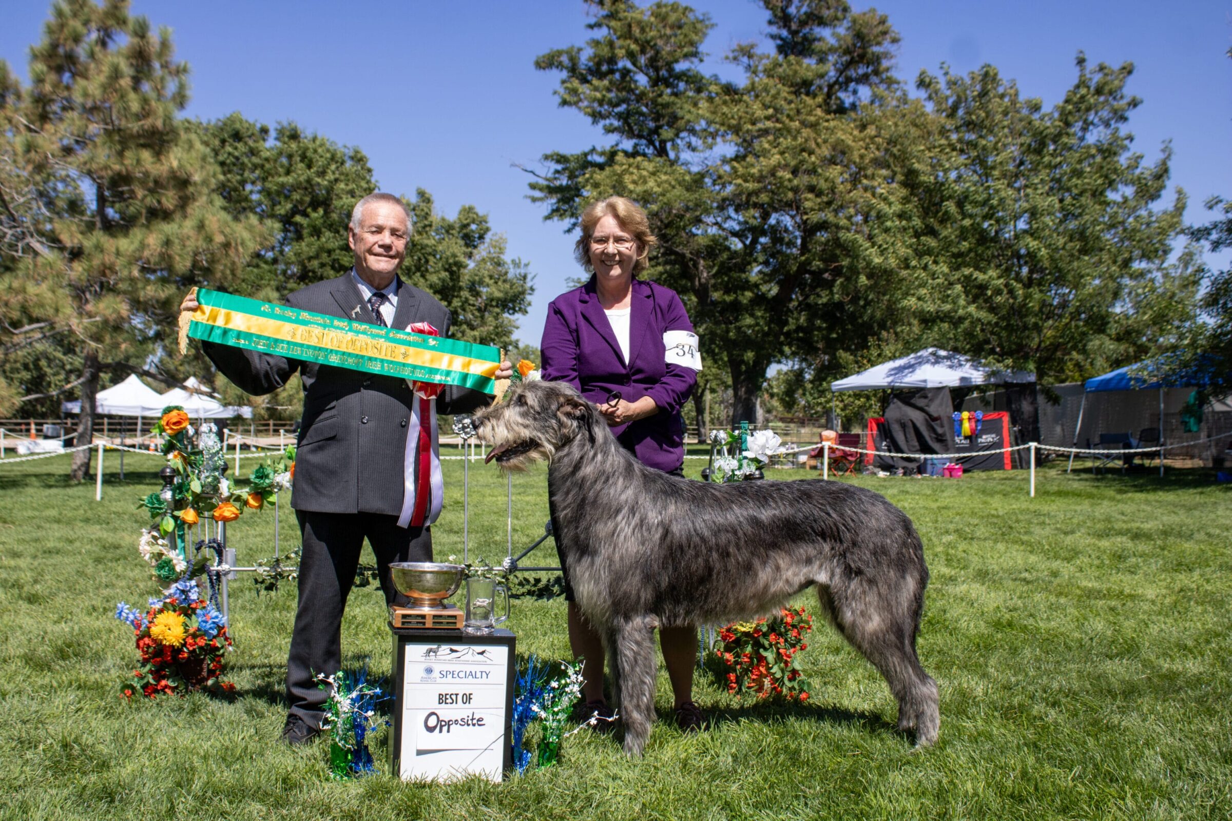 Boondocks Irish Wolfhounds | Iowa Dog Breeder