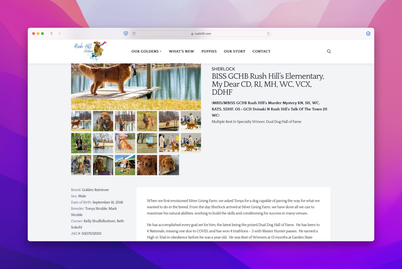Ultimate Dog Breeder Website Builder