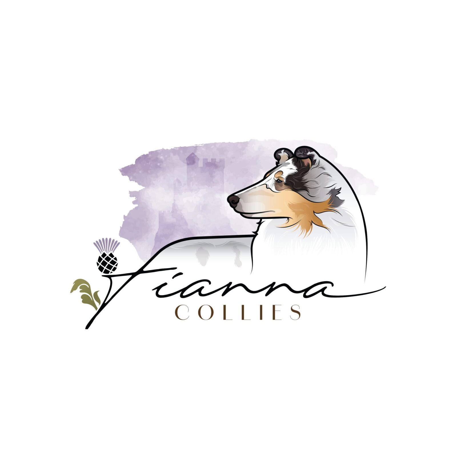 Rough & Smooth Collie Breeders Near Me | Better Breeder Directory