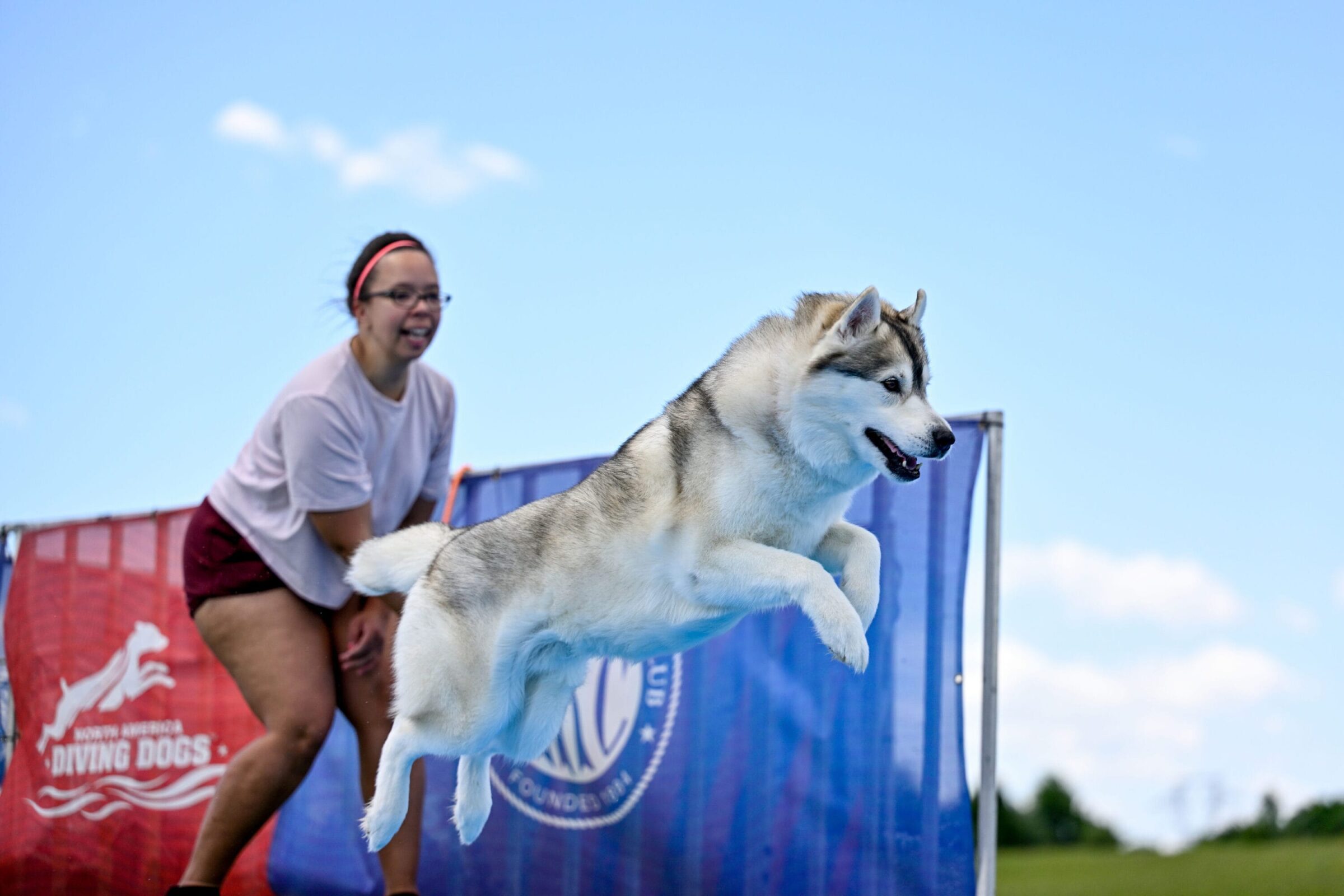 Ivie Siberian Huskies | North Carolina Husky Breeder